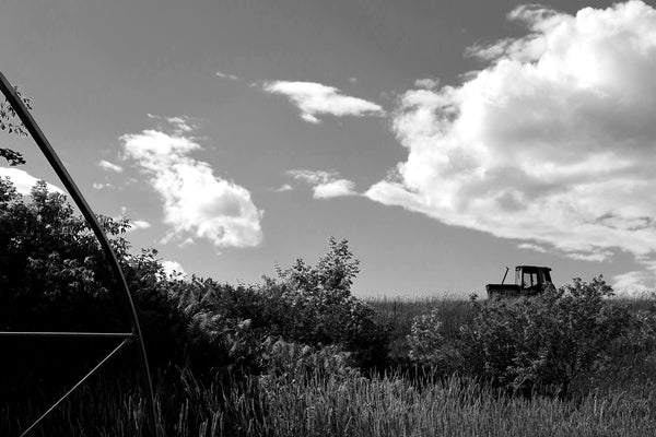 How Nature Rebounds | Jamie Kennedy Kitchens